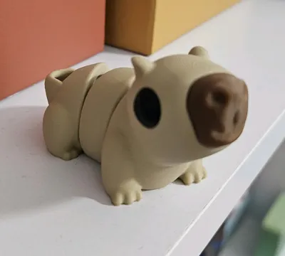 Flexi Capybara & Keychain - No Supports by 3DeepDesigns MakerWorld ...