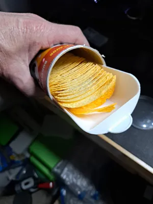 Pringles Tray by SaVo3D - MakerWorld