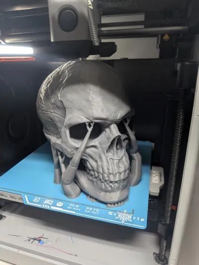 Skull Hat Stand by Three Delta Actual MakerWorld: Download Free 3D Models