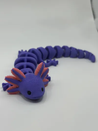 Articulated Axolotl (Multicolor) Remixed by Molodos MakerWorld ...