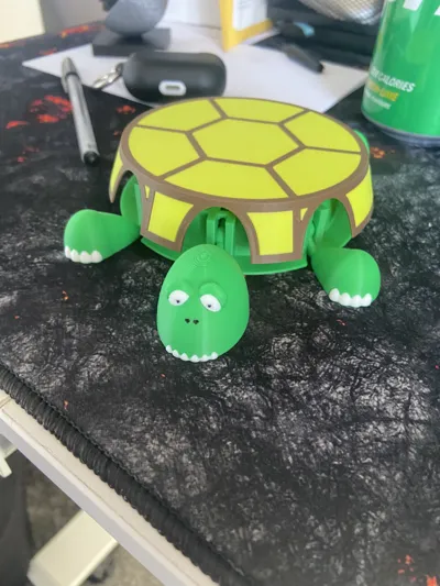 Animated, Articulated Turtle Coaster Fidget by Richie Rich Richie Rich ...