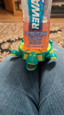 Animated, Articulated Turtle Coaster Fidget - Free 3D Print Model ...