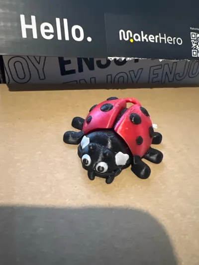 Flexi Ladybug & Keychain - No Supports by 3DeepDesigns MakerWorld ...