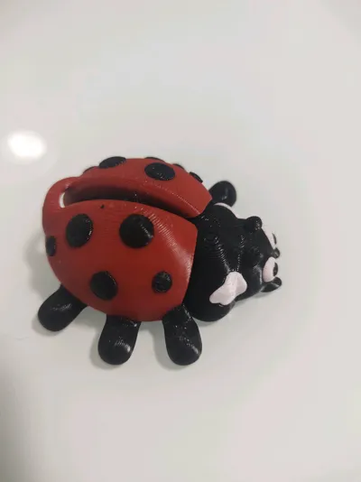 Flexi Ladybug & Keychain - No Supports by 3DeepDesigns MakerWorld ...