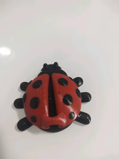 Flexi Ladybug & Keychain - No Supports by 3DeepDesigns MakerWorld ...