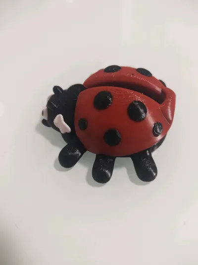 Flexi Ladybug & Keychain - No Supports by 3DeepDesigns MakerWorld ...