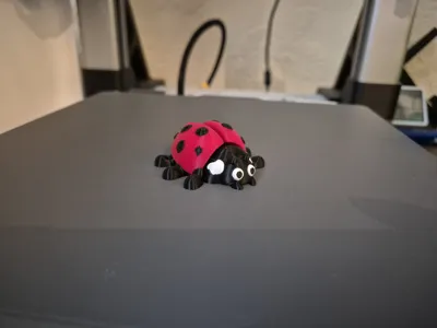 Flexi Ladybug & Keychain - No Supports by 3DeepDesigns MakerWorld ...