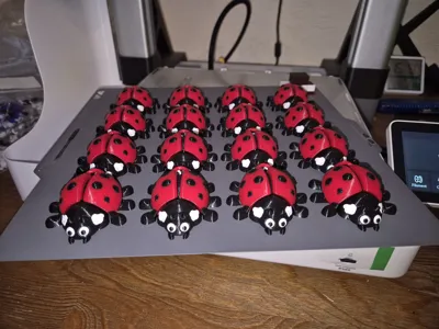 Flexi Ladybug & Keychain - No Supports by 3DeepDesigns MakerWorld ...