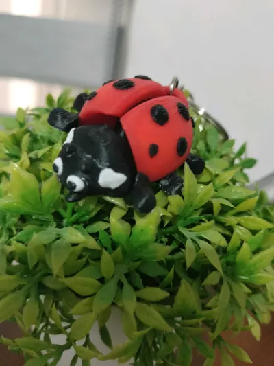 Flexi Ladybug & Keychain - No Supports by 3DeepDesigns MakerWorld ...