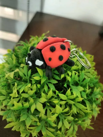 Flexi Ladybug & Keychain - No Supports by 3DeepDesigns MakerWorld ...