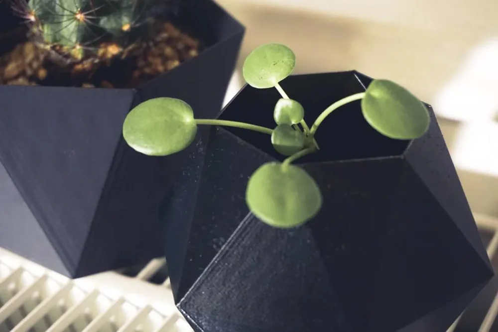 Geometry flower pots! #1 by Lukas Pomykal MakerWorld: Download Free 3D ...