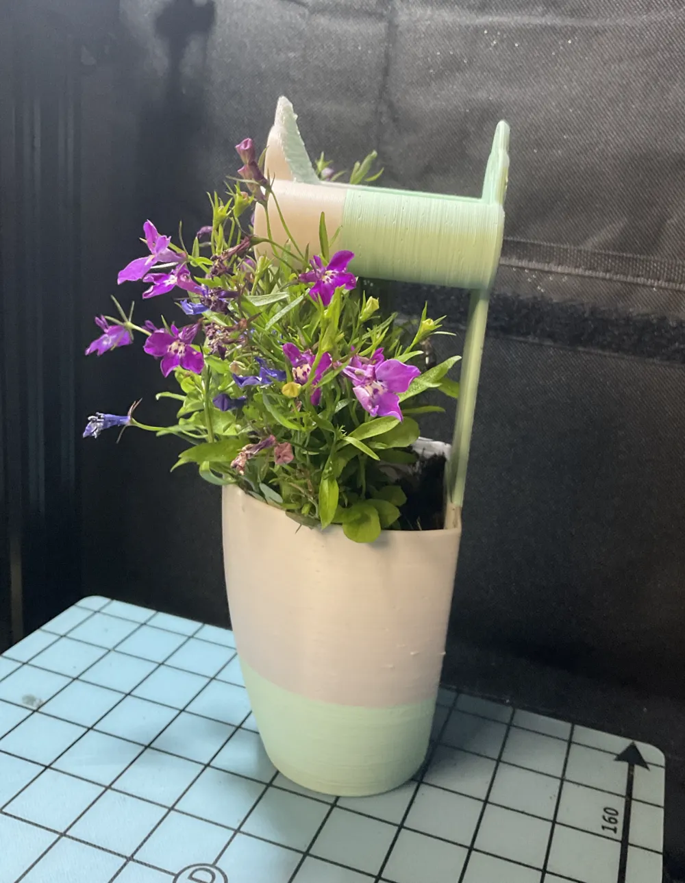 Cute Rain Cloud Planter by Zurlingo-3D - MakerWorld