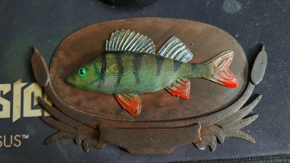 Fishing trophy / stuffed perch by Thomas687 - MakerWorld