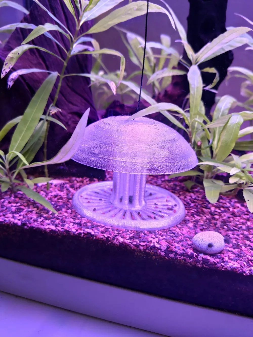 Aquarium snail trap by BHMarten - MakerWorld