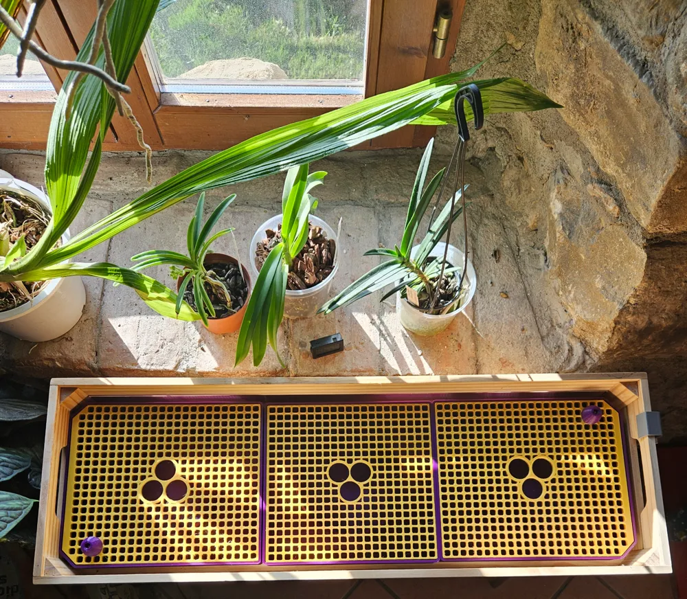 Humidity tray by MatteMR - MakerWorld