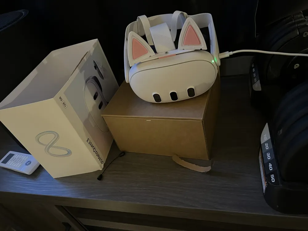 Cat Ears for Meta Quest 3 - Accessory Mount Remixed by spikeon - MakerWorld