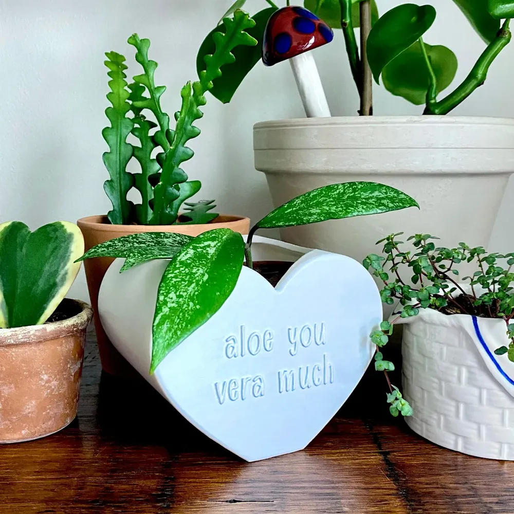 Valentine's Day Pun Heart Planter by acerqua1 - MakerWorld