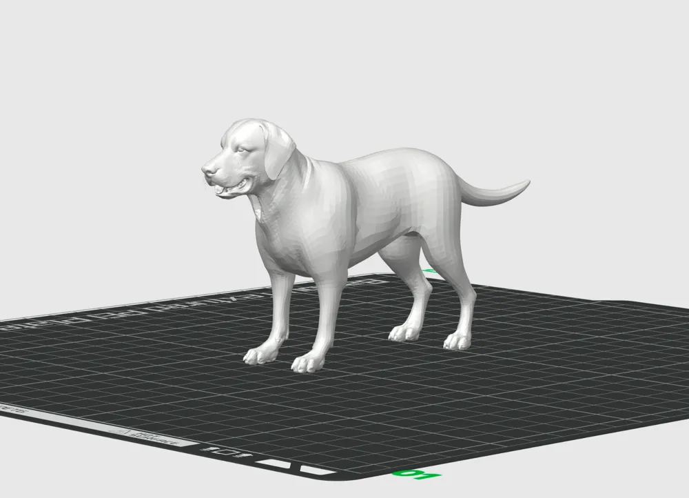 Labrador Retriever Dog Model by TeraBite MakerWorld: Download Free 3D ...