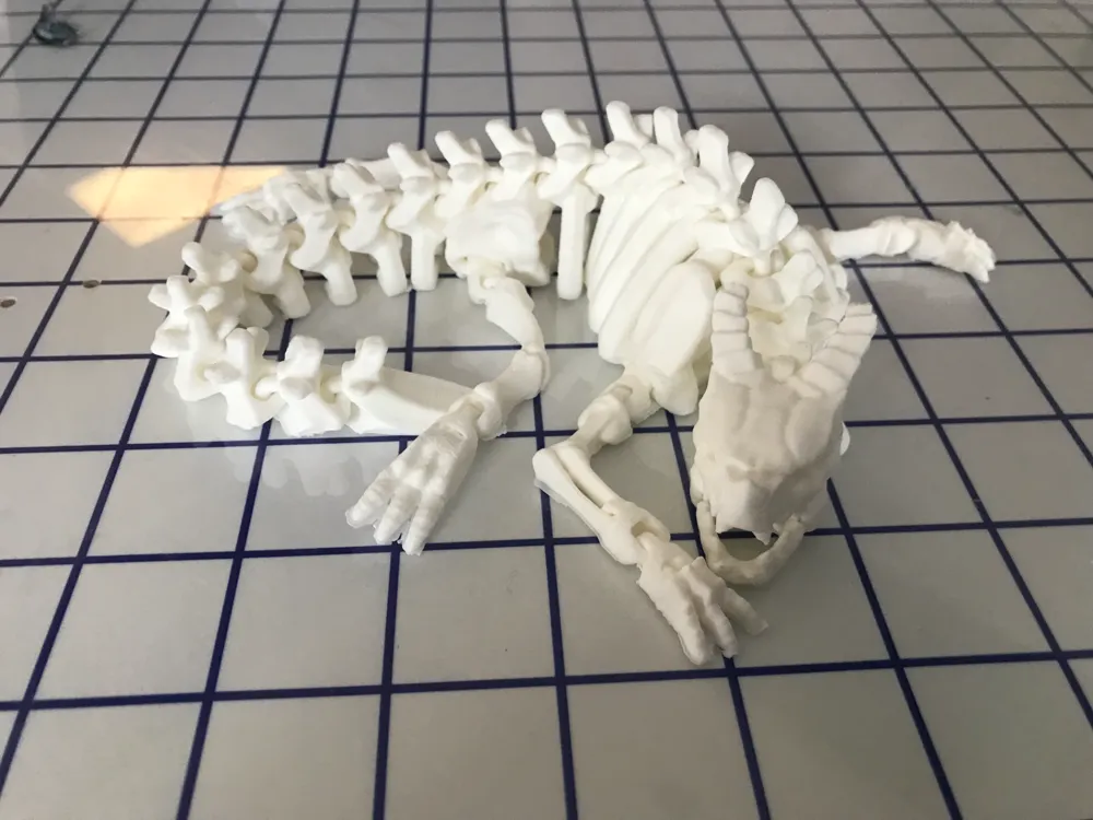 ARTICULATED SKELETON DRAGON Remixed by BaLuCZ - MakerWorld