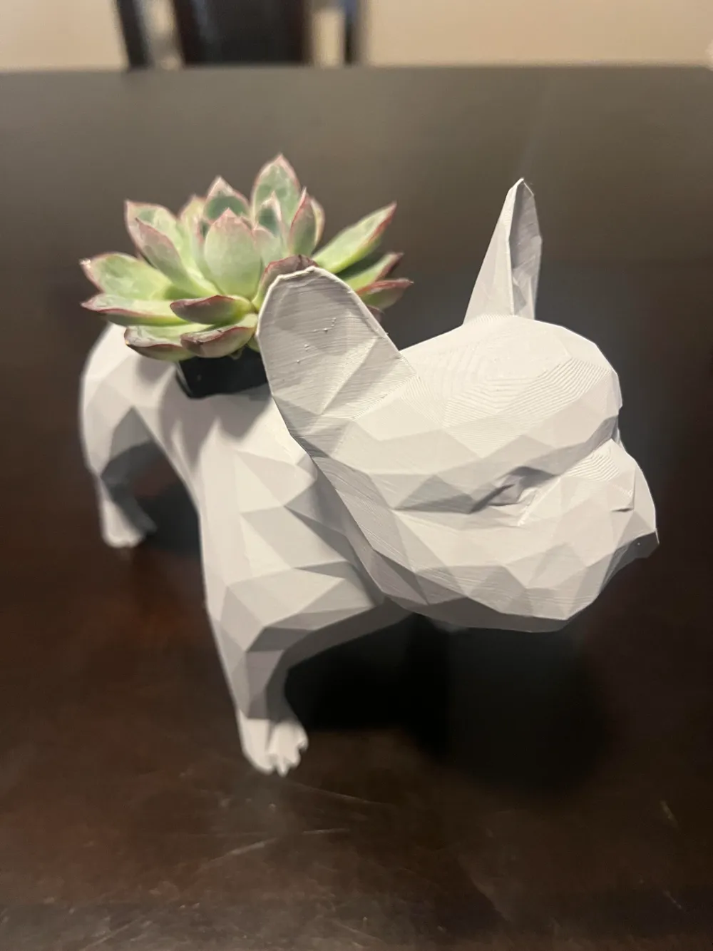 Frenchie Succulent Plant Holder Remixed by Matt5082 - MakerWorld