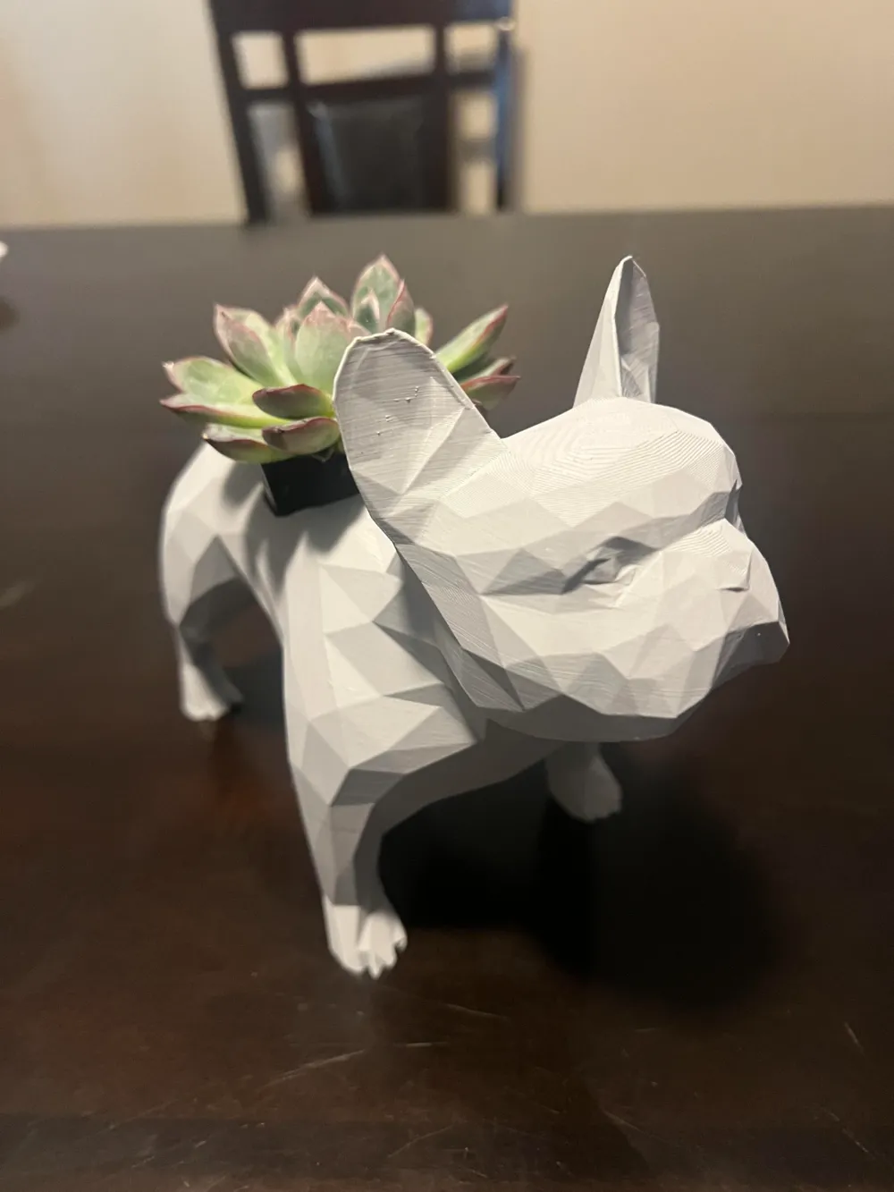 Frenchie Succulent Plant Holder Remixed by Matt5082 - MakerWorld