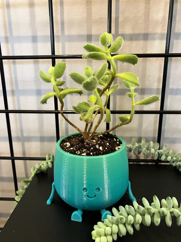 Happy Flower Pot by UsefulPrints - MakerWorld