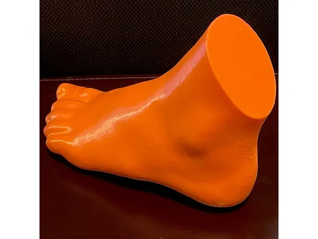 Foot Remixed by 3d_wonders MakerWorld: Download Free 3D Models