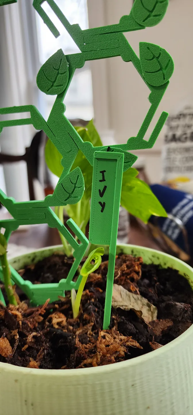 Modular Trellis Cards by BlawkFireDesign - MakerWorld