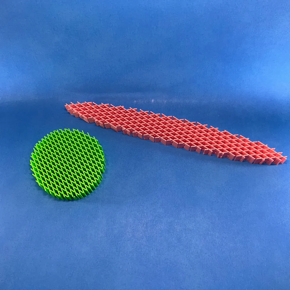 Flexi Sqeeze by user - MakerWorld