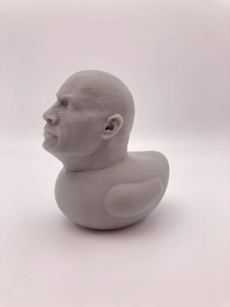 Rock Duck (Ruck) 2.0 by nally2502 - MakerWorld