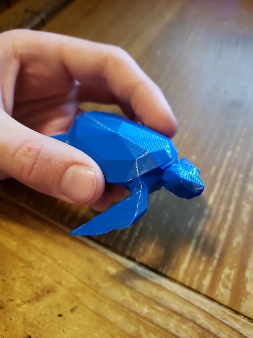 Low poly sea turtle by maxwellp - MakerWorld