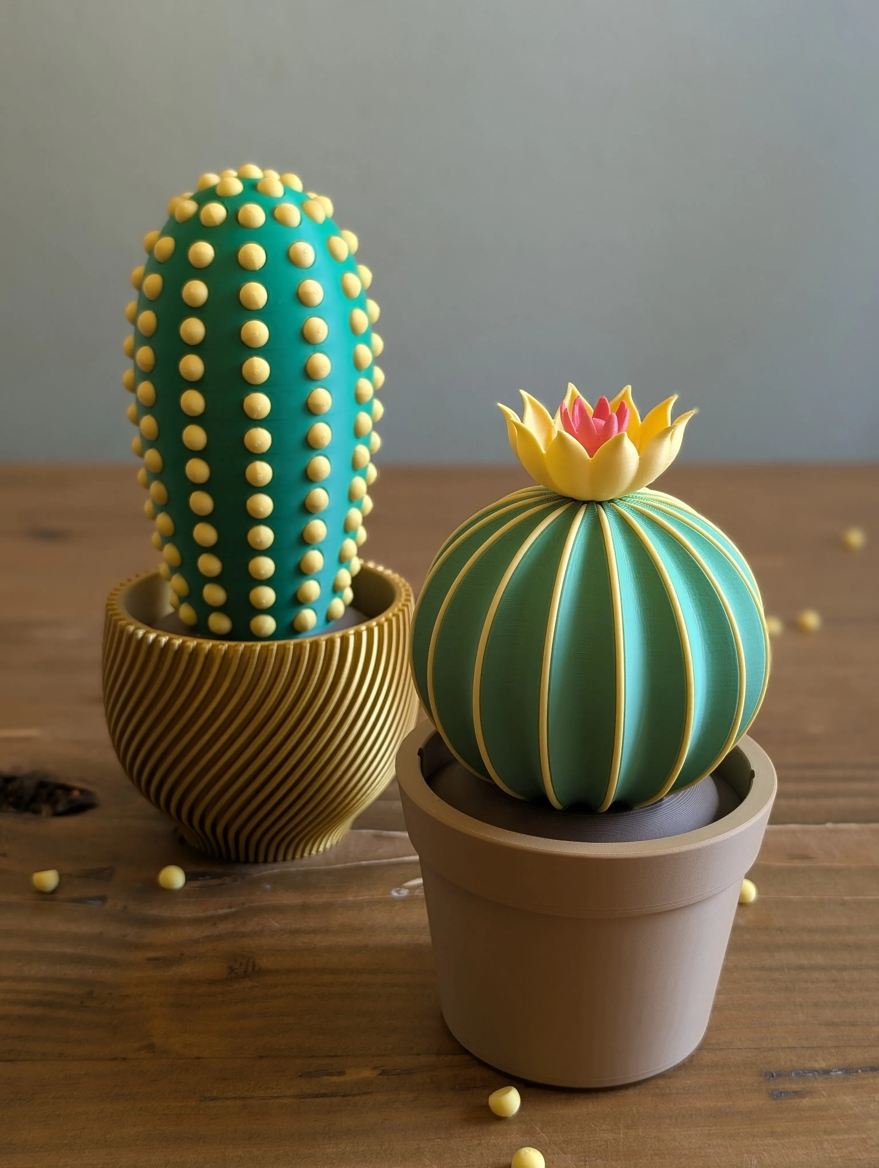 Monstera - Multiple Varieties - 3D Printed Plant by designs.by.Marcum ...