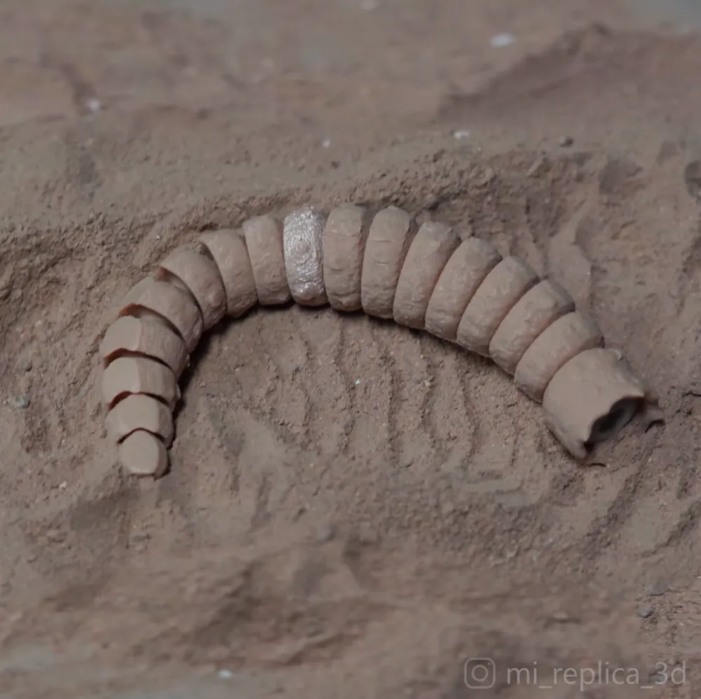 Dune Flexi Sandworm. Print in Place. Support Free. by mireplica3d ...