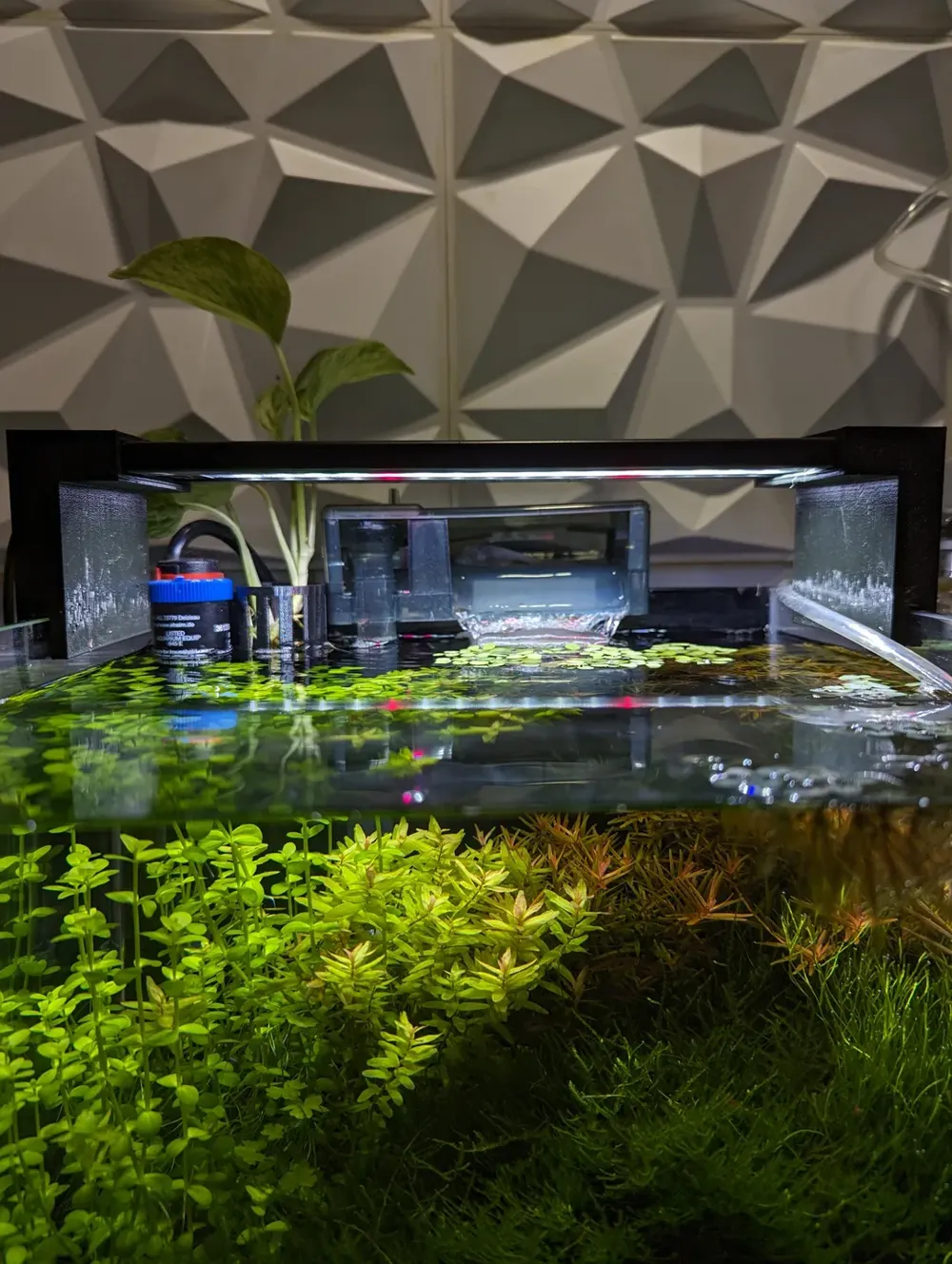 Nicrew LED riser for 5MM rimless tanks by Xericity - MakerWorld