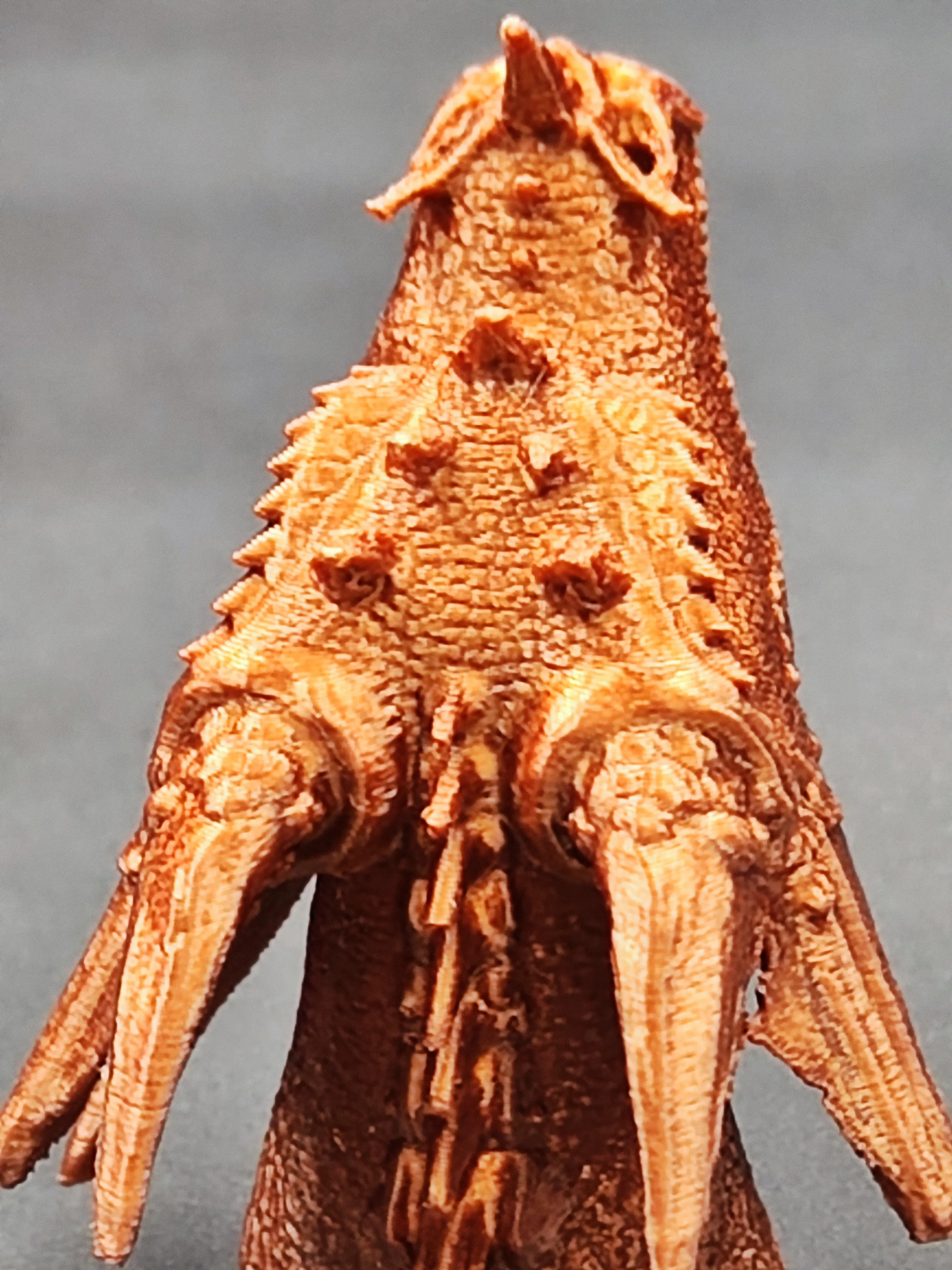 Dragon Head - High definition 0.2 nozzle by Creatività in 3D - MakerWorld