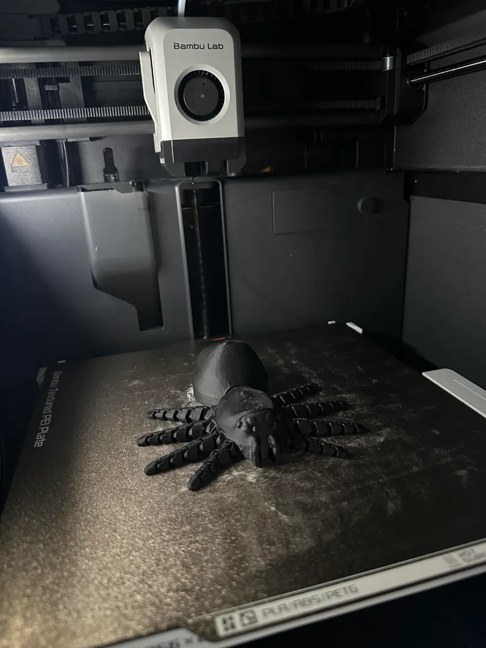 Flexi Spider by chuuubert - MakerWorld