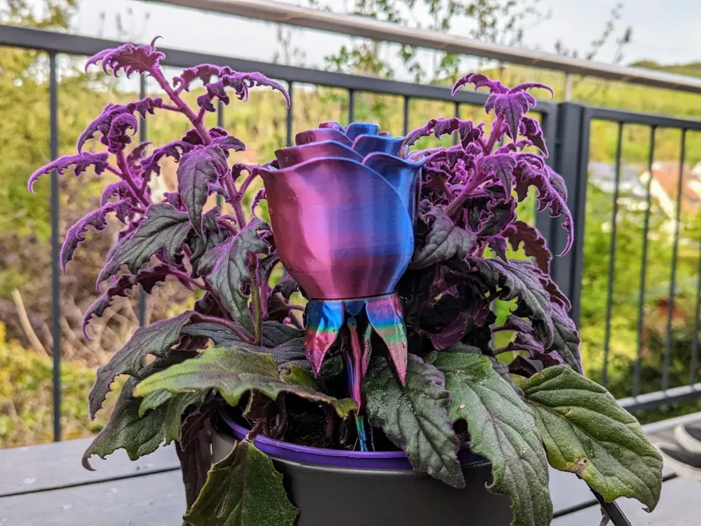 Rose Watering System by Dr.D - MakerWorld