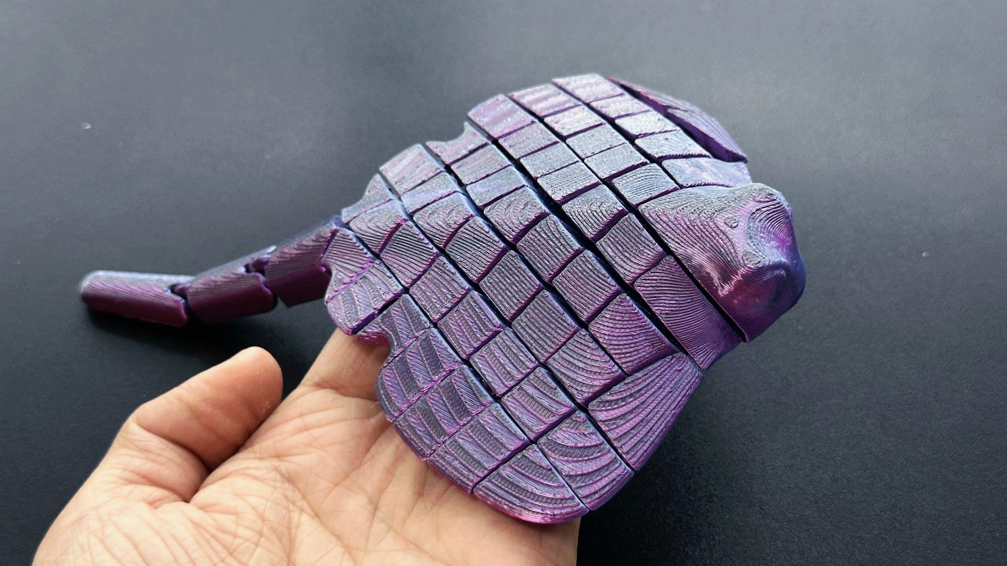 flexi manta ray by MingGY MakerWorld: Download Free 3D Models