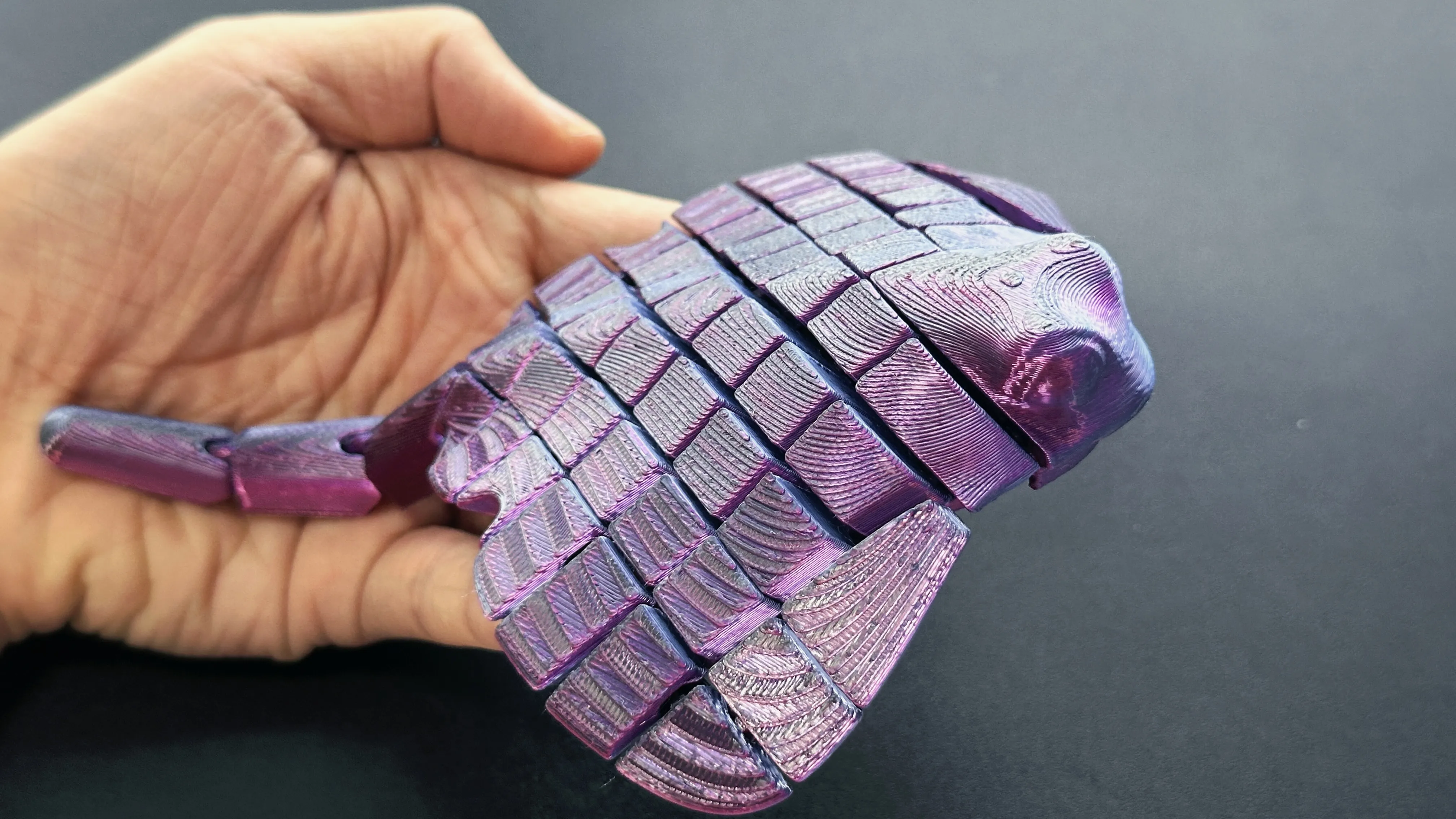 flexi manta ray - Free 3D Print Model - MakerWorld