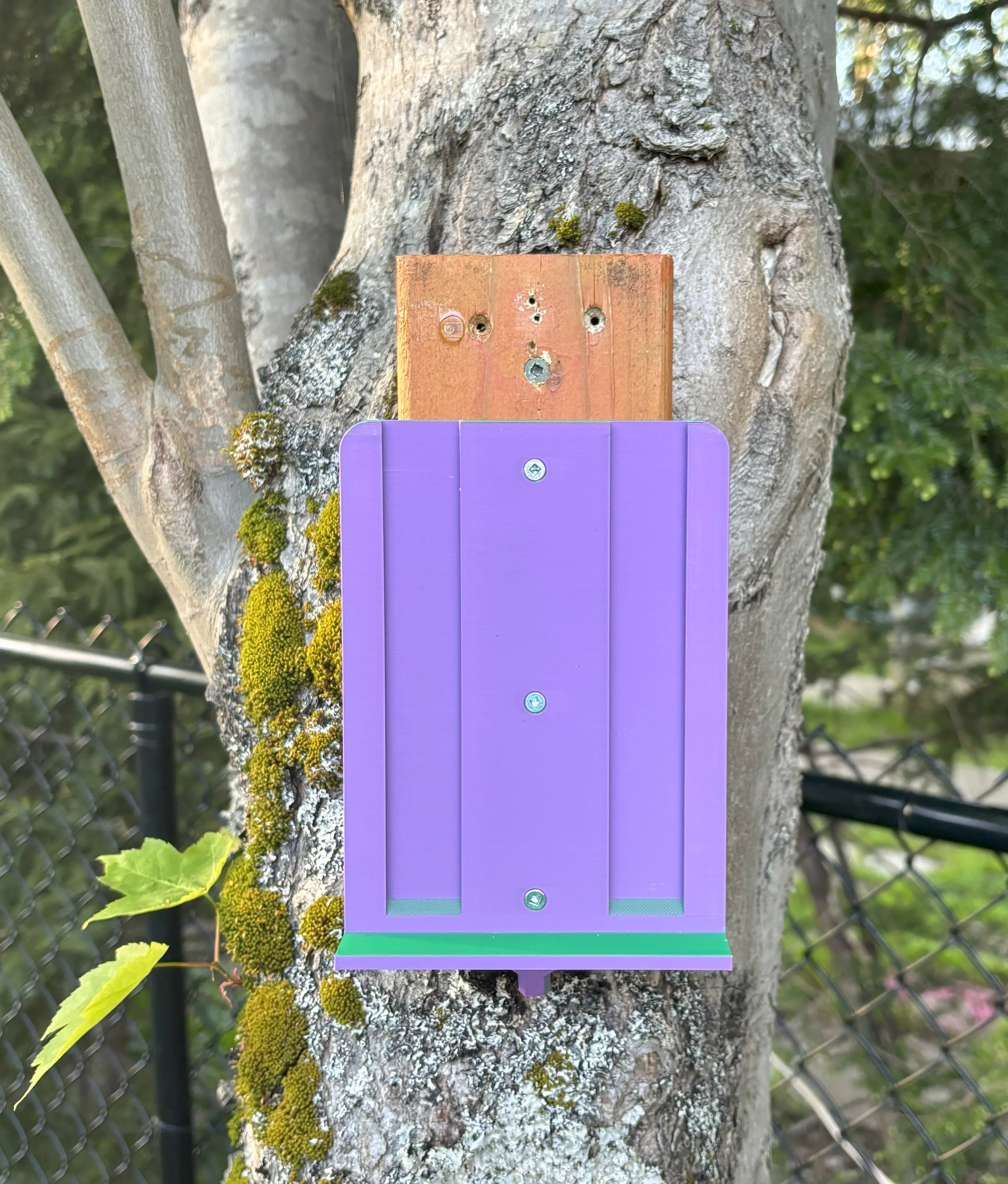 The Nest Watcher 5000 - Solar Bird House Peeper by Man of Mystery Intl ...