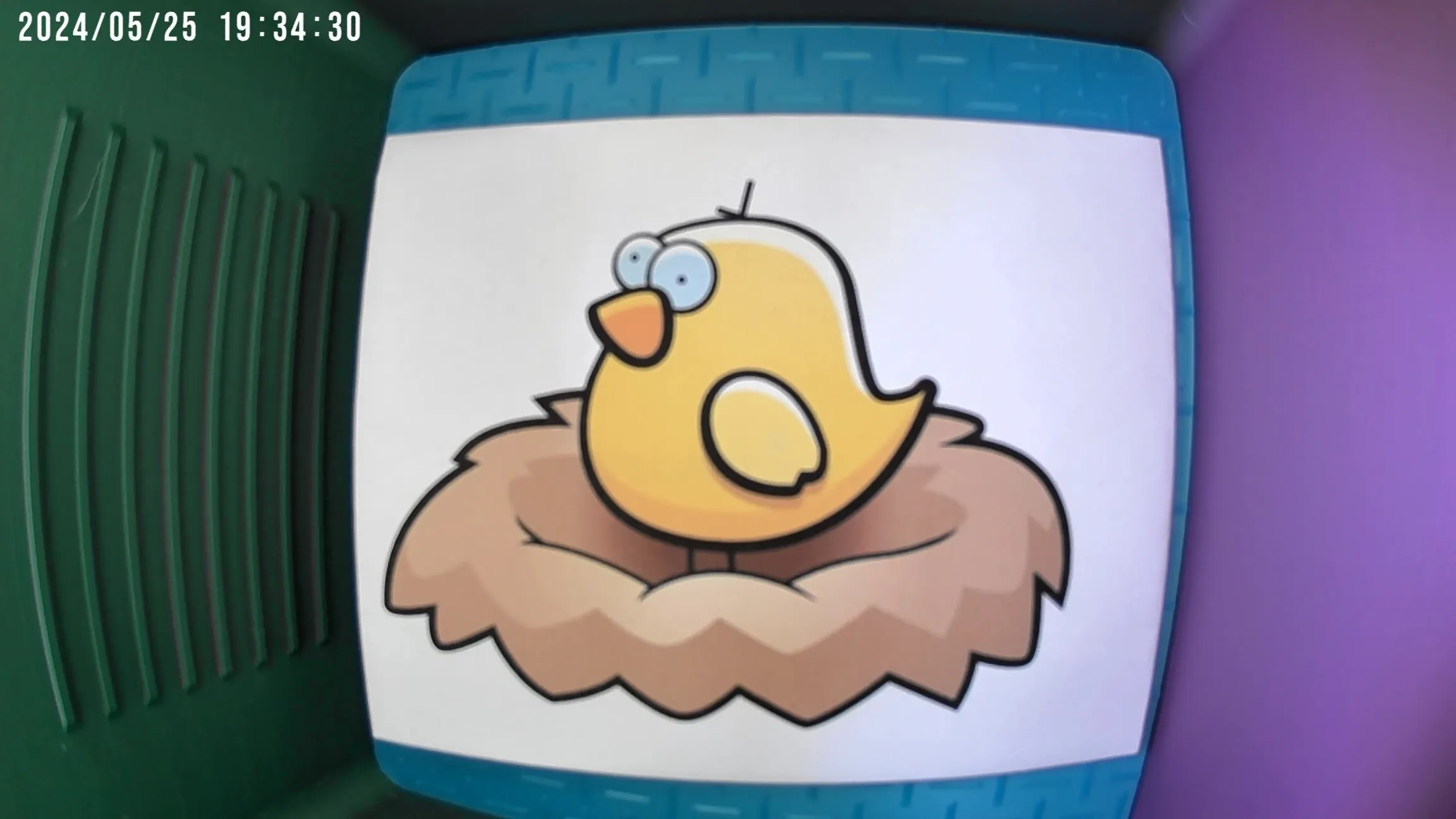 The Nest Watcher 5000 - Solar Bird House Peeper by Man of Mystery Intl ...