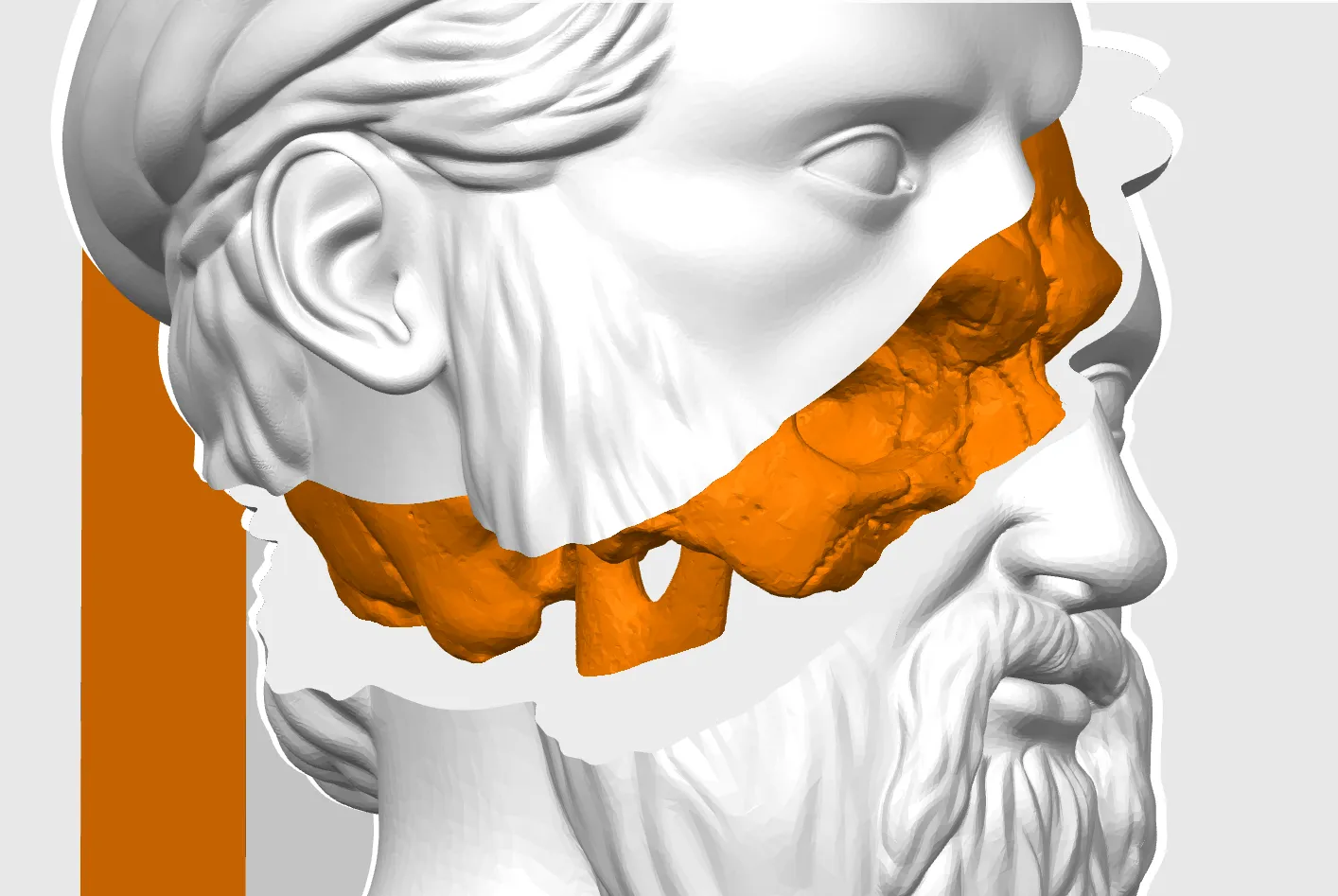 Pythagoras Anatomical Remixed by Creatività in 3D - MakerWorld