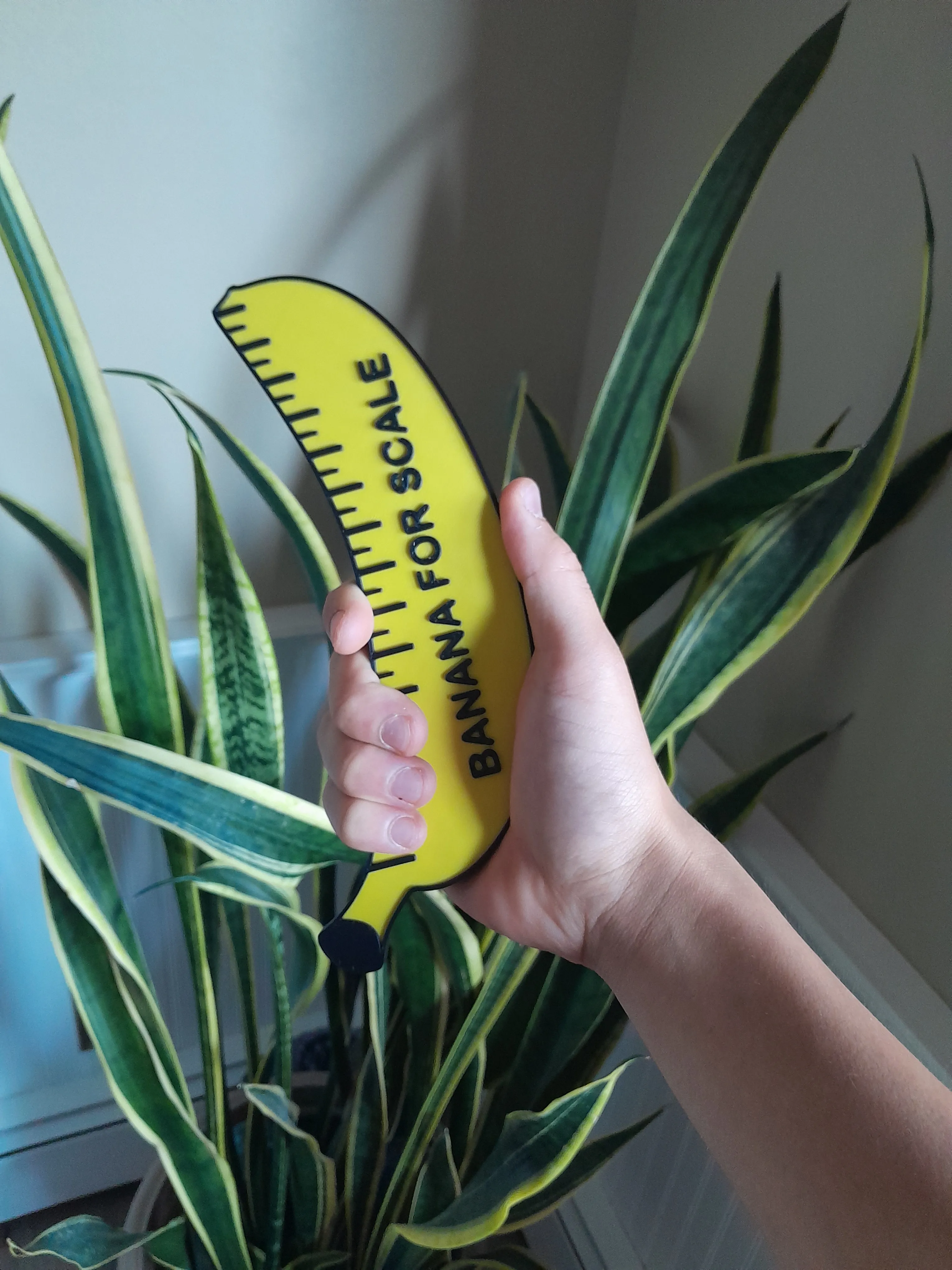 THE *OFFICIAL* Banana for Scale/Reference! by SK3D MakerWorld: Download ...