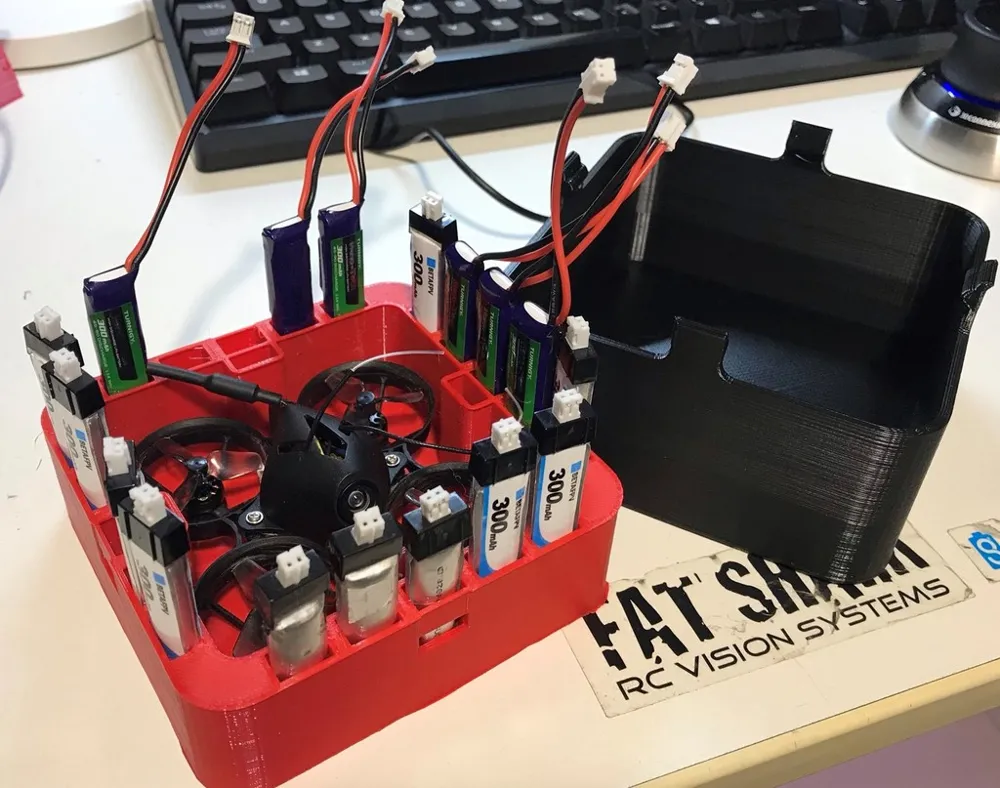 Tiny Whoop 65 Hard Case with 1s Lipo storage by Nick Cent - MakerWorld