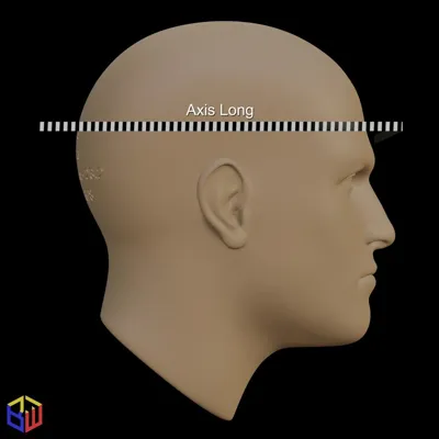 Sizing Heads Updated by Budwin MakerWorld: Download Free 3D Models