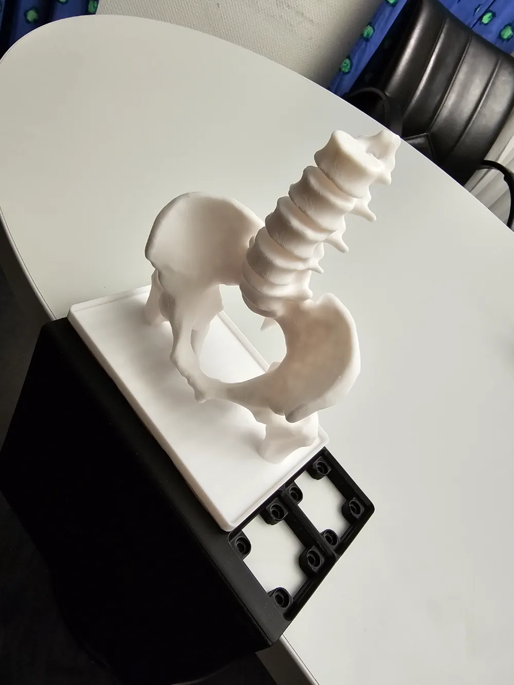 Gridfinity pelvis Remixed by Azrael - MakerWorld