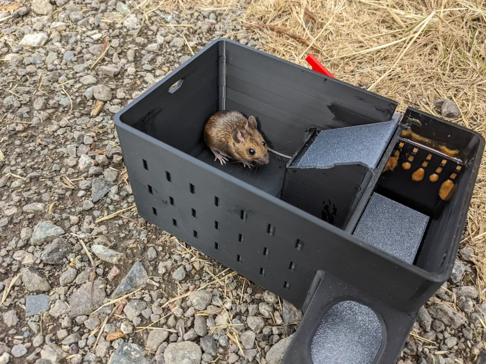 Live multi-catch mouse trap with catch indicator by milks808 MakerWorld ...