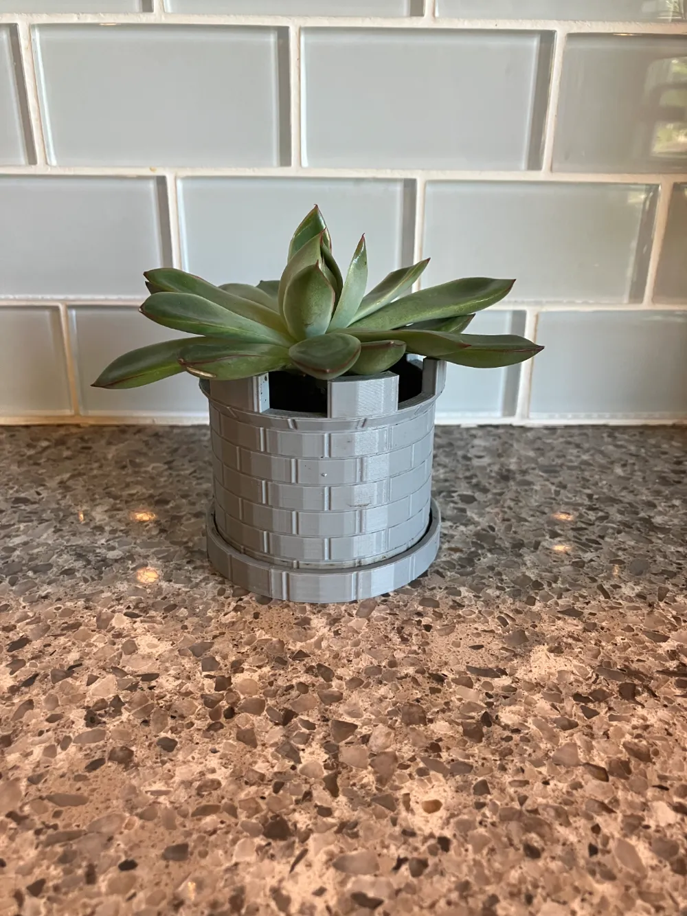 succulent castle pot by EJ seal - MakerWorld
