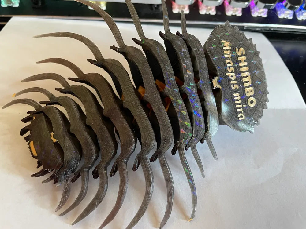 Miraspis mira, articulated by Auntie Fa - MakerWorld