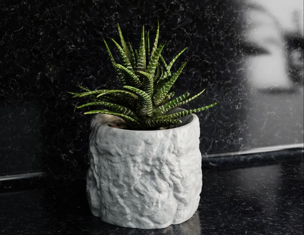 Rock flower pot 5 by uni3Dworld - MakerWorld